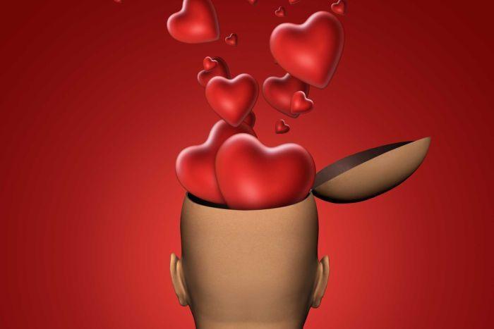 Understanding Your Brain on Love – Project Yourself